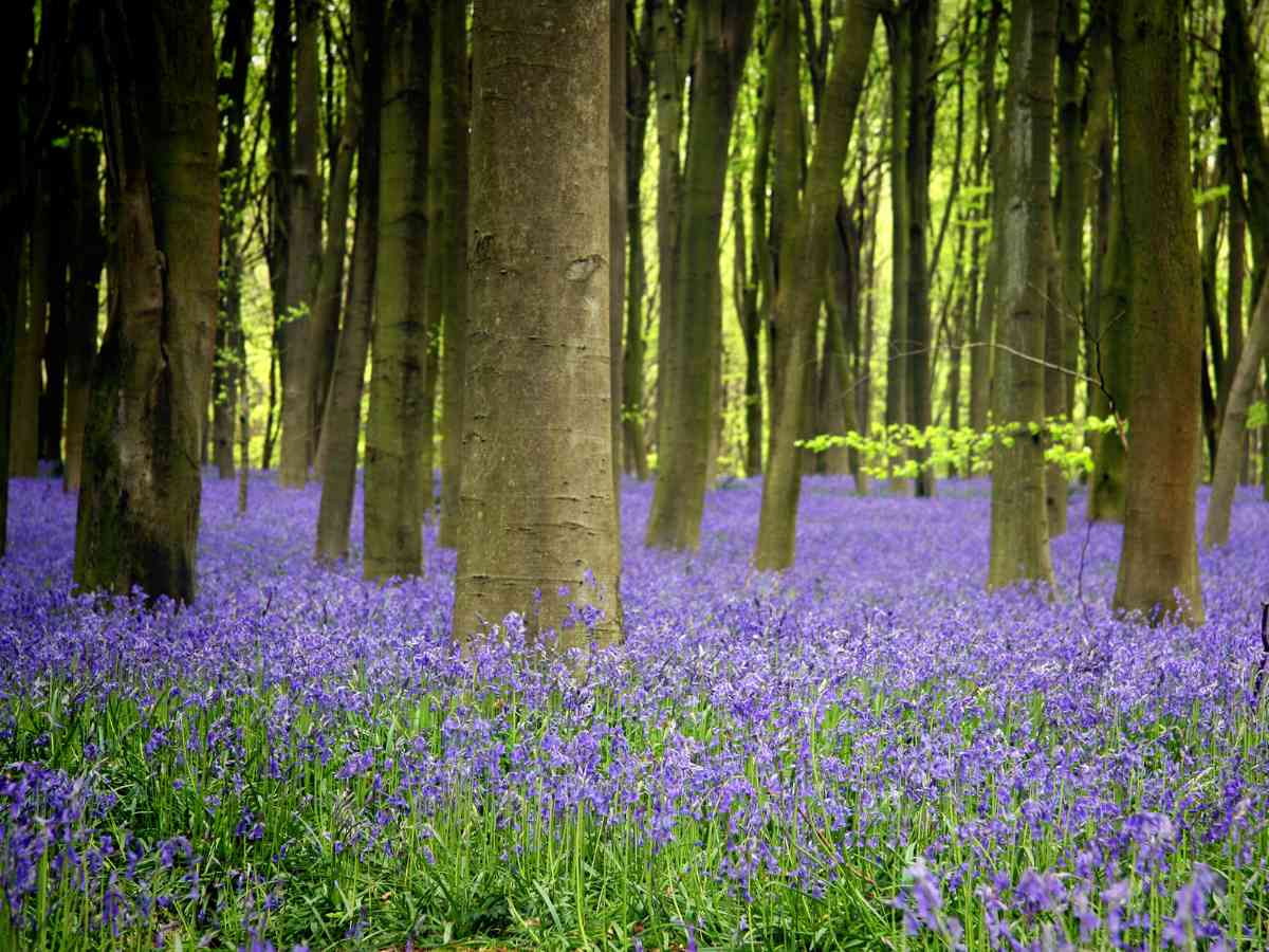 Top 5 free days out - Little Winnick