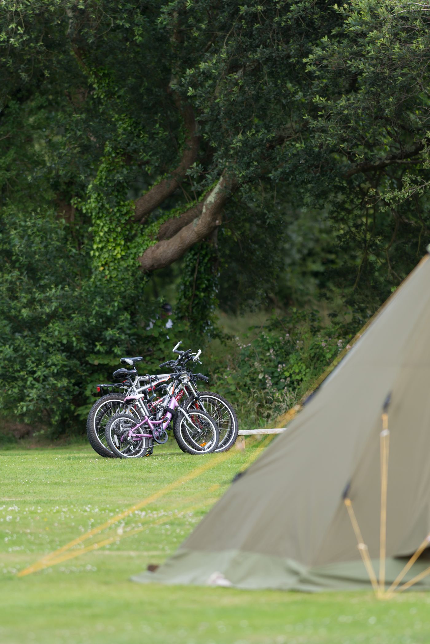 Covid 19 Update - 19/03/2020 - Little Winnick